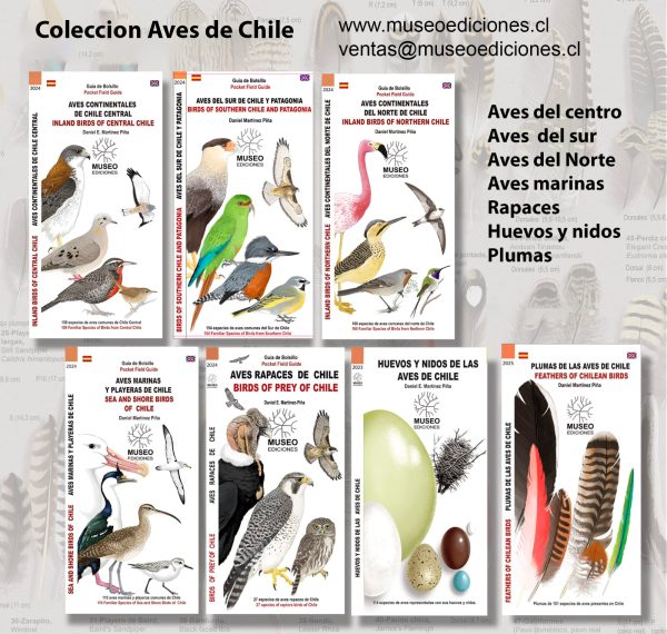 Colección Aves de Chile | Museo Ediciones, biblioteca gráfica de la ...